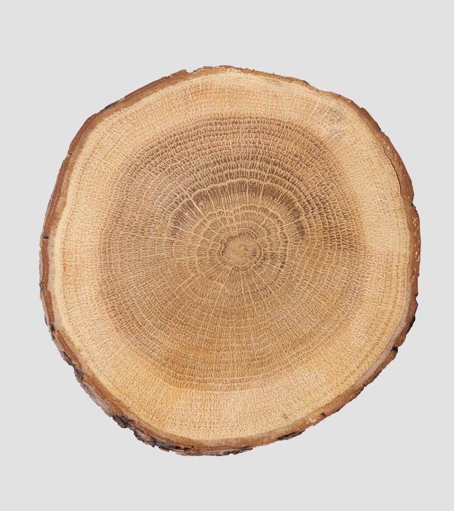 Our Beliefs: The woodwork | Beautiful and enduring sustainable ...